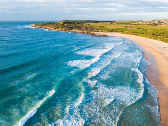 Want to know the Eastern Suburbs’ best kept secret? - Dec 2024